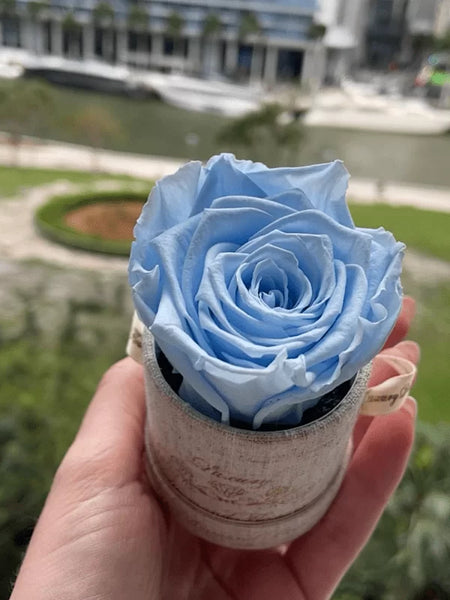 Single forever rose – Luxury Diamond Flowers
